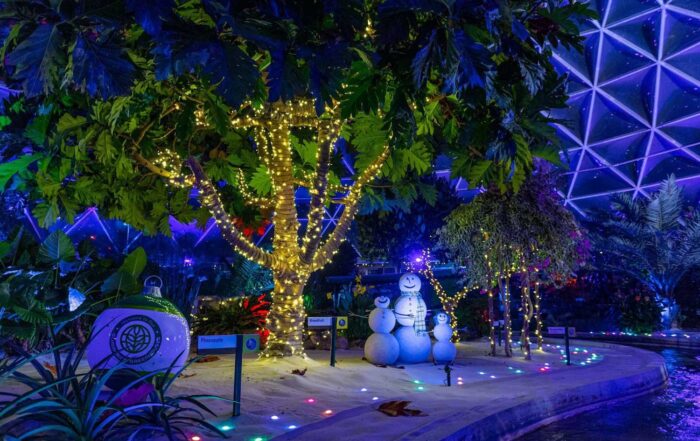 Walt Disney World Theme Parks | INTERCOT