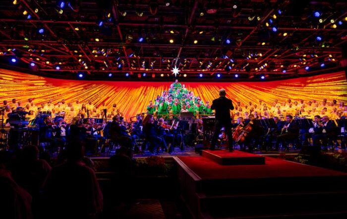 Walt Disney World Theme Parks | INTERCOT
